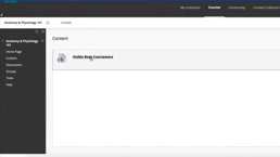 Your Guide to LMS Integration with Visible Body Courseware