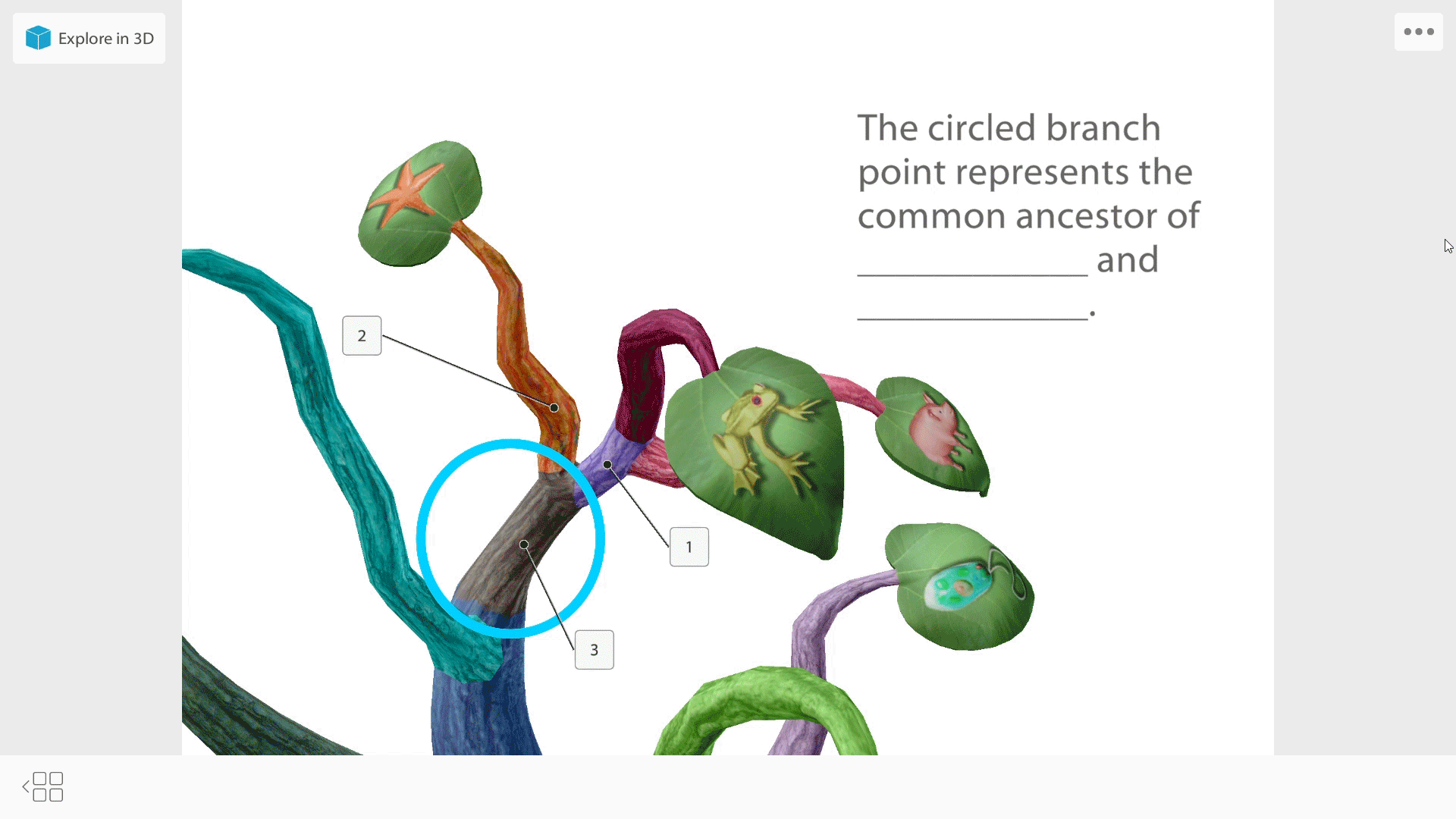 Phylogenetic Tree Lesson Plan with Visible Body Suite