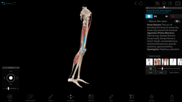 How Visible Body Is Expanding Access to Life Sciences Education