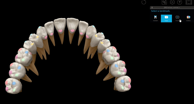 Open Wide: A Guide to Dental Anatomy