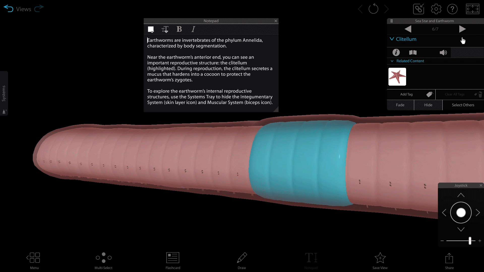 4 Ideas for Teaching Earthworm Anatomy with Visible Body