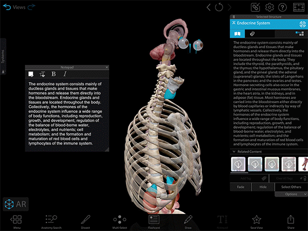 Visible Body on the Big Screen: Teaching with Interactive Panels