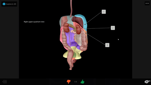 10 Creative Uses for Flashcards in Visible Body Suite