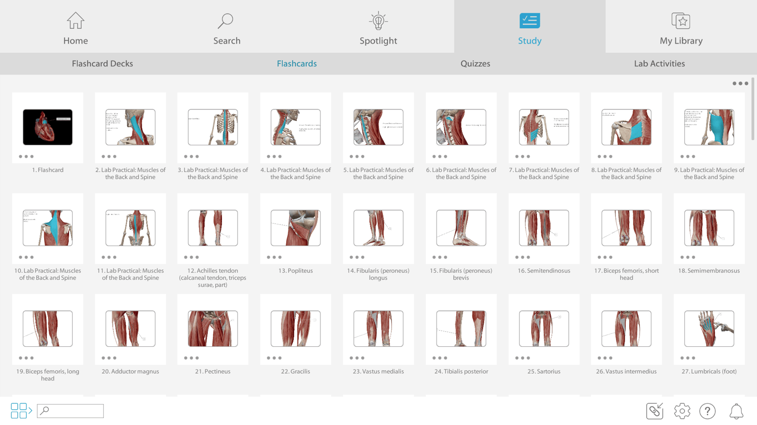 Have You Seen Visible Body Suite’s New Menu?