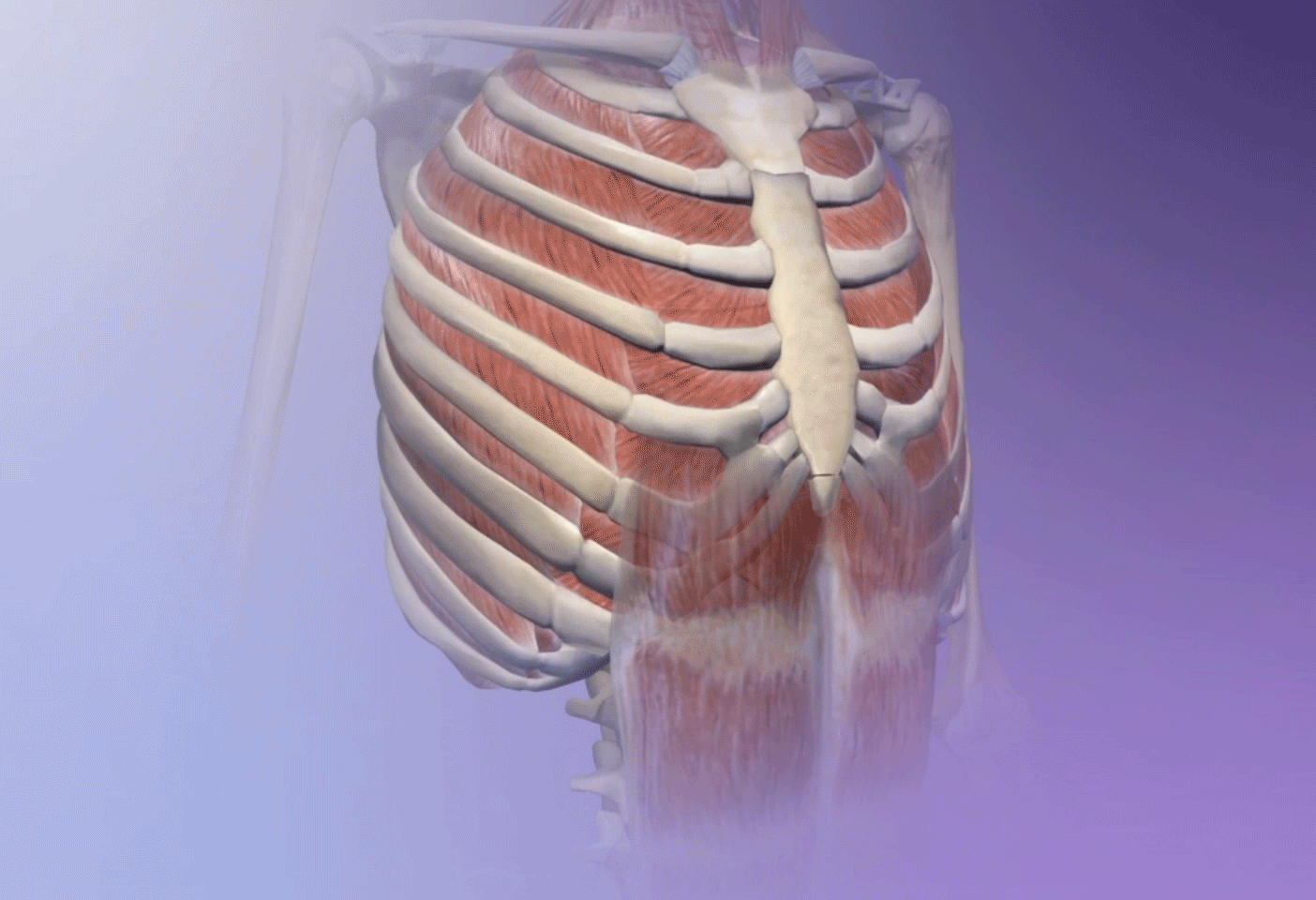 The Ins and Outs of Asthma