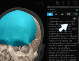 Listen Up: New Accessibility Features Released in Visible Body Suite