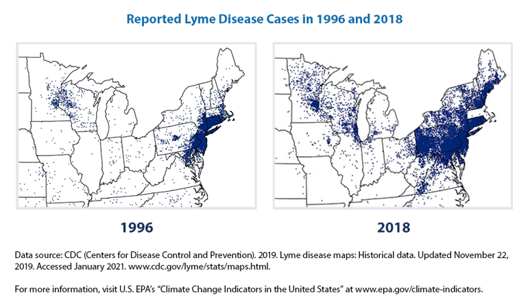 What Makes Lyme Disease Tick