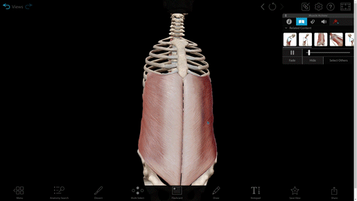 Plastic Models + VB Suite: New Research Examines Engagement and ...