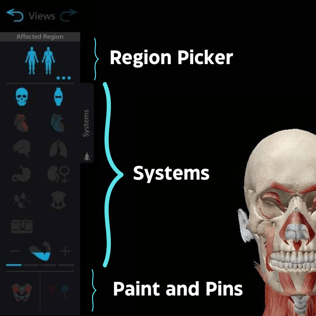 Enhanced Systems Tray Makes Navigating Anatomy Even Easier