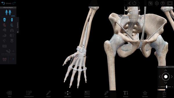 Enhanced Systems Tray Makes Navigating Anatomy Even Easier