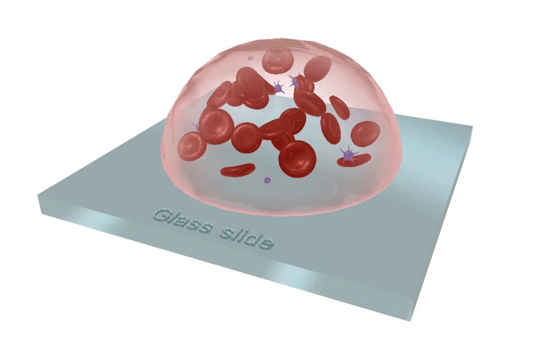 Four Brilliant Black Scientists from the 20th Century