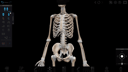 Enhanced Systems Tray Makes Navigating Anatomy Even Easier