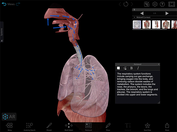 Teaching Vital Signs with Visible Body Suite