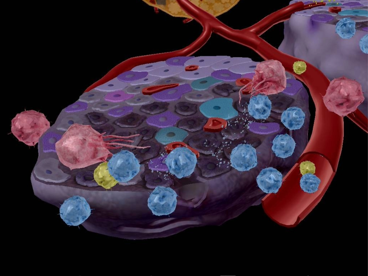 The Dirt on Diabetes: The Basics of a Chronic Disease