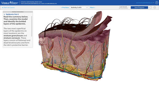 Skin Anatomy: An Online Lesson Plan