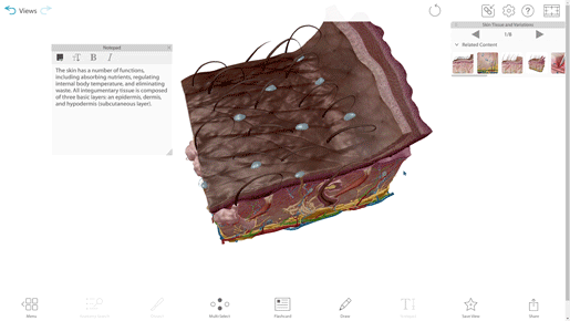 Skin Anatomy: An Online Lesson Plan