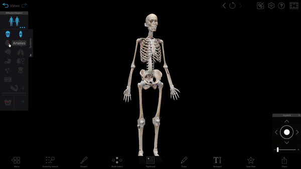 Enhanced Systems Tray Makes Navigating Anatomy Even Easier
