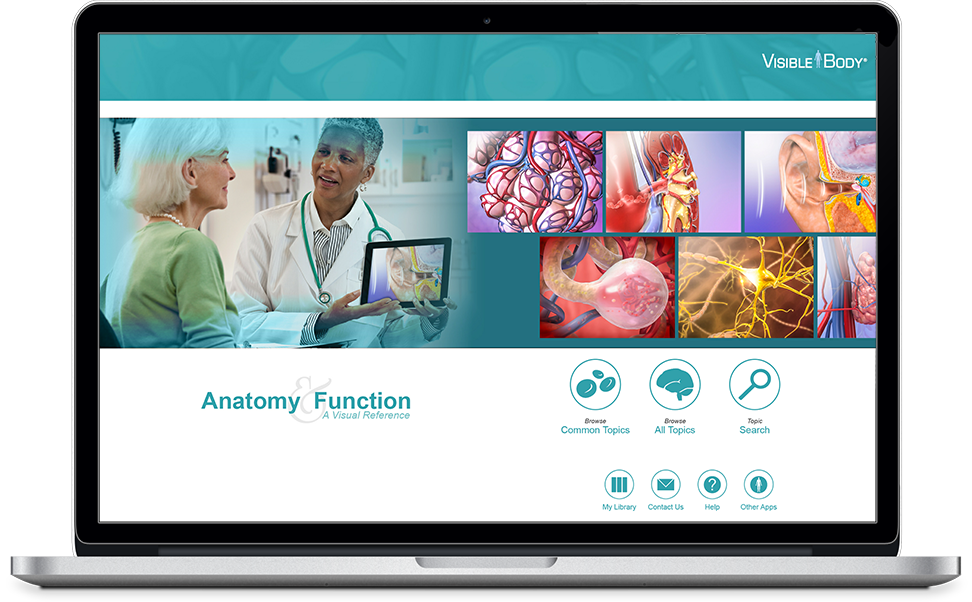 Anatomy & Function - 复习解剖结构和基本人体功能