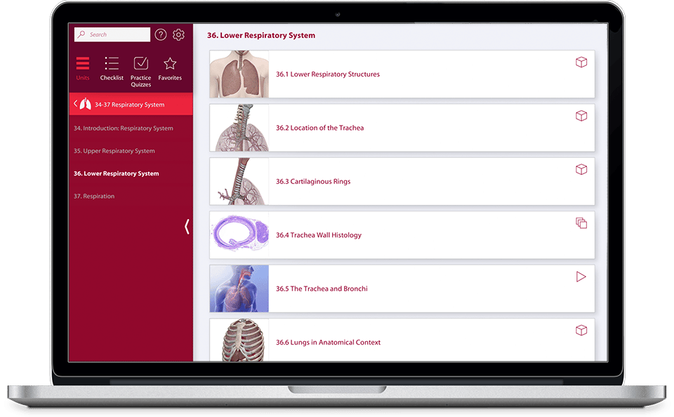 Virtual Anatomy Lab | Anatomical Dissection | Visible Body