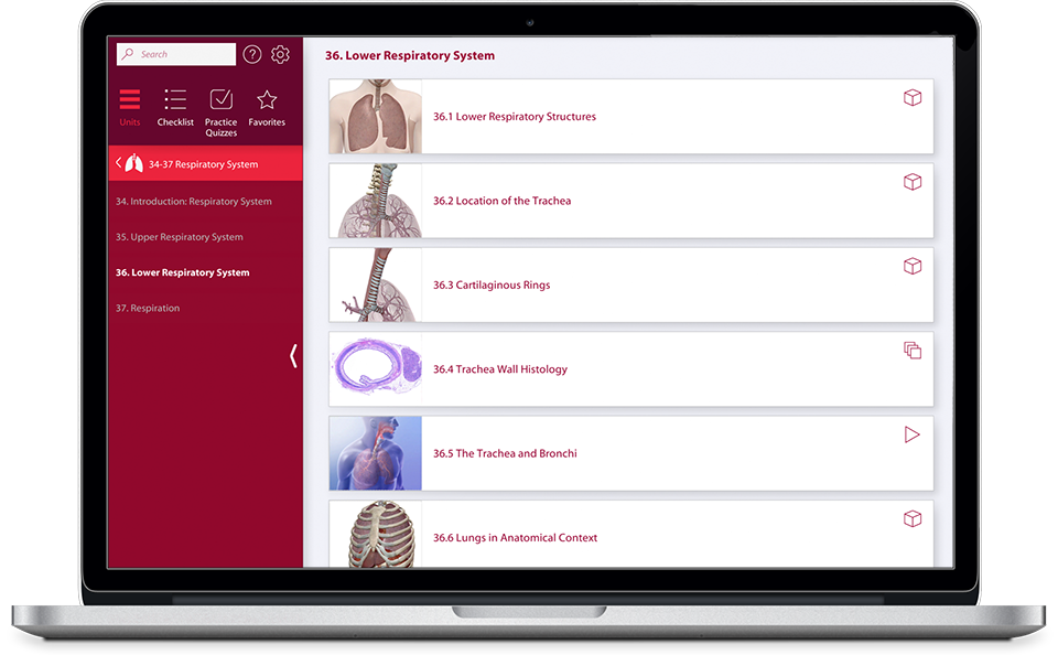Virtual Anatomy Lab | Anatomical Dissection | Visible Body