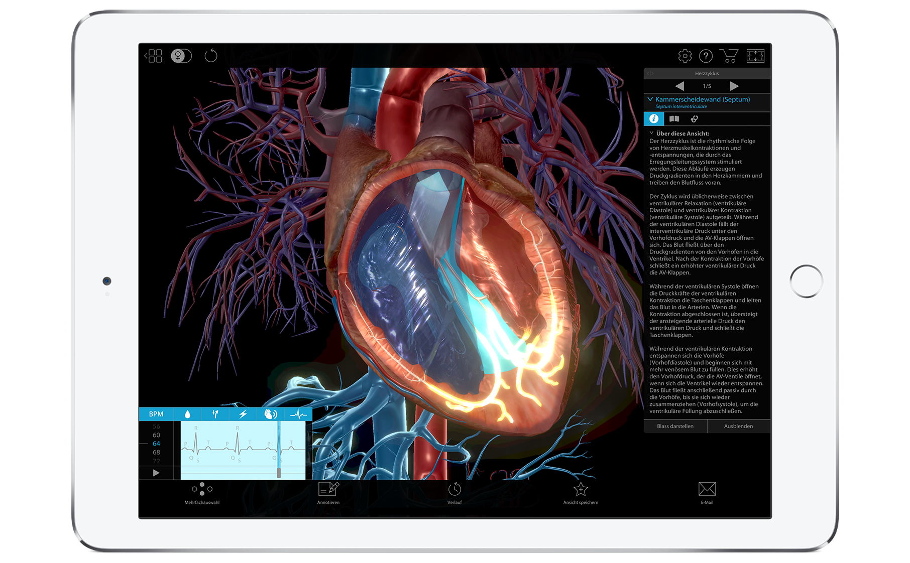 Visible Body - Durchsuchen Sie Anatomie-, Physiologie- und Pathologie-Apps