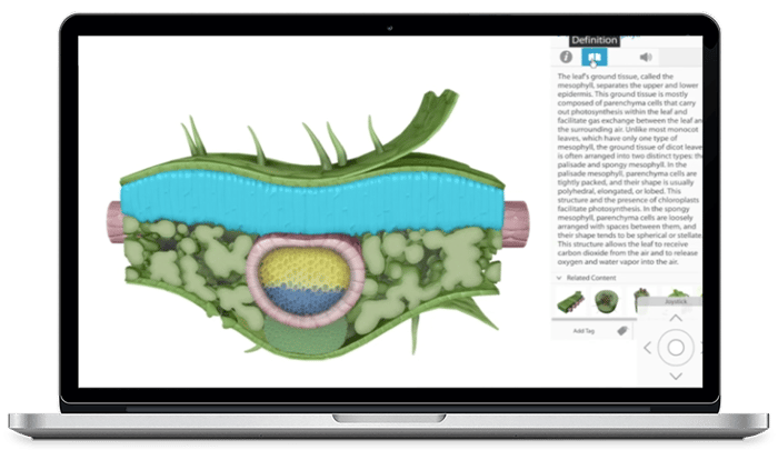 Visible Body in the Lab