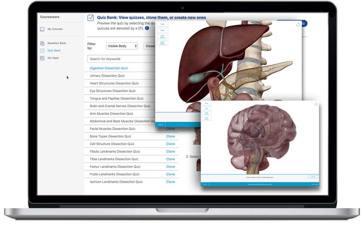 Visible Body Courseware | 3D Anatomy Software | Anatomy Apps