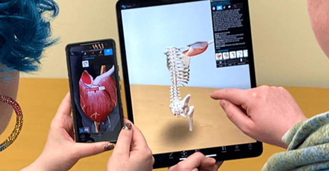 How Does Visible Body Courseware Compare with The BioDigital Human?