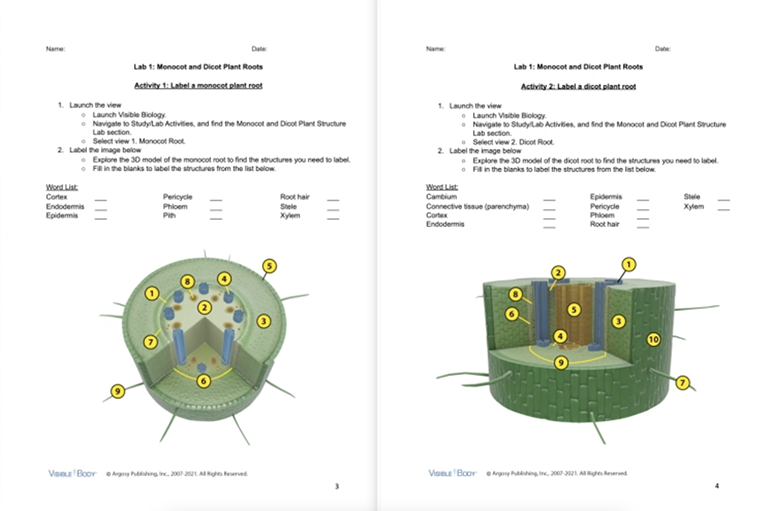 Teaching High School Bio with Visible Body Suite: An Interview with ...