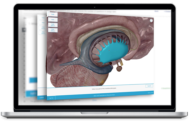 Can My Computer Run Courseware? System Requirements and Tech Specs ...