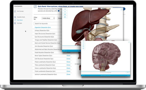 Courseware | Create Visual and Interactive A&P Courses