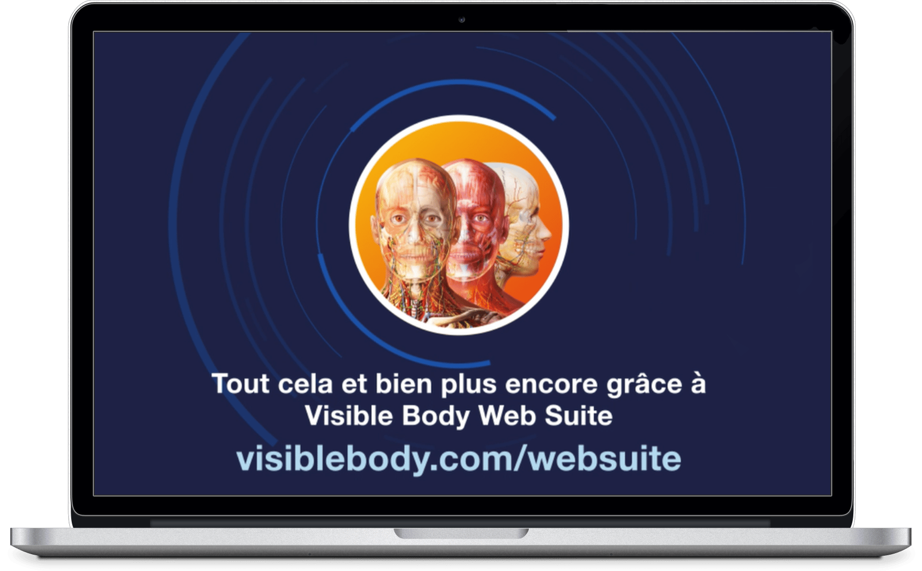 Visible Body Suite