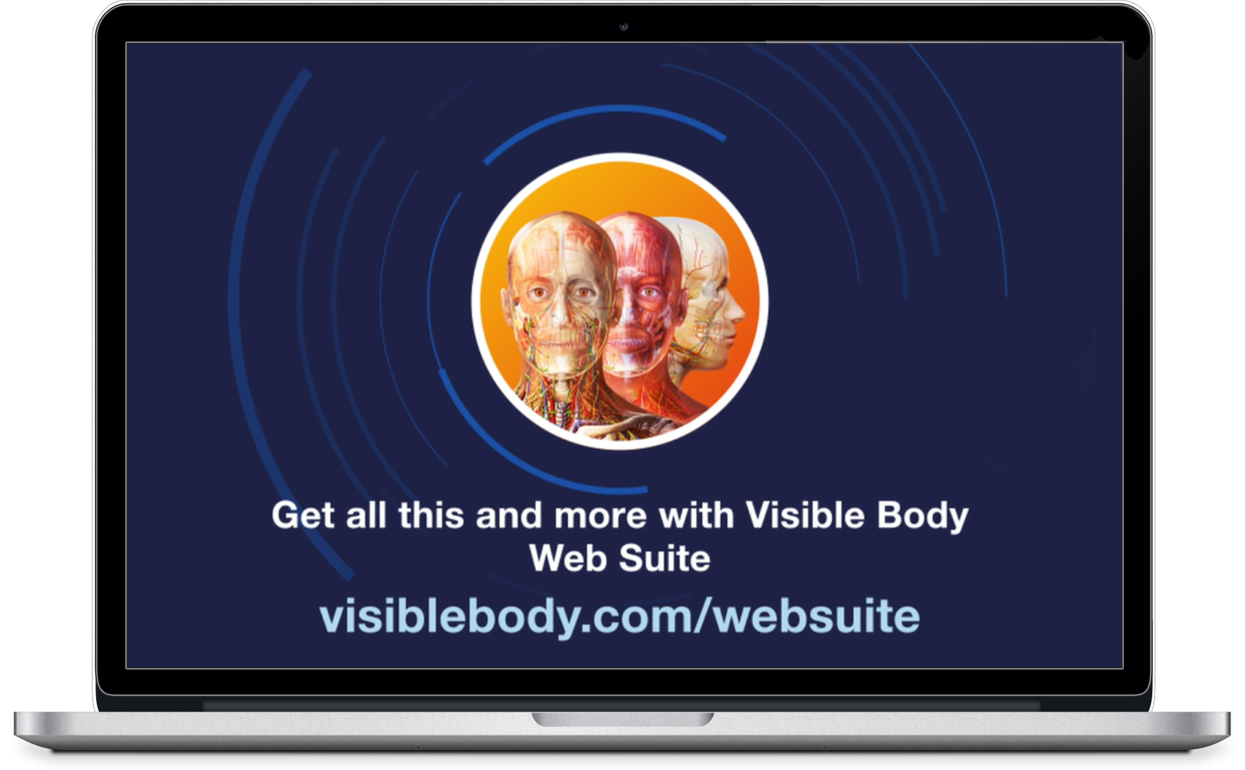 Visible Body Suite