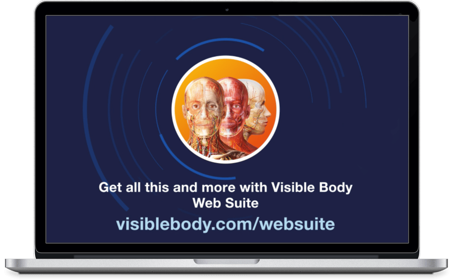 Visible Body Suite