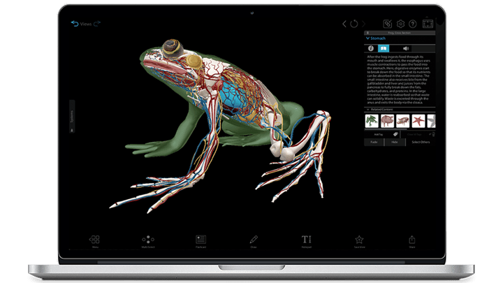 Visible Body in the Lab