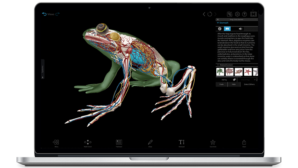 Visible Body in the Lab