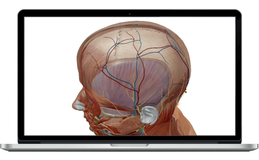 Visible Body - Virtual Anatomy to See Inside the Human Body
