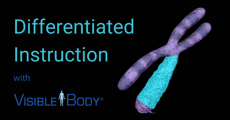 Reach More Students: Differentiated Instruction with Visible Body