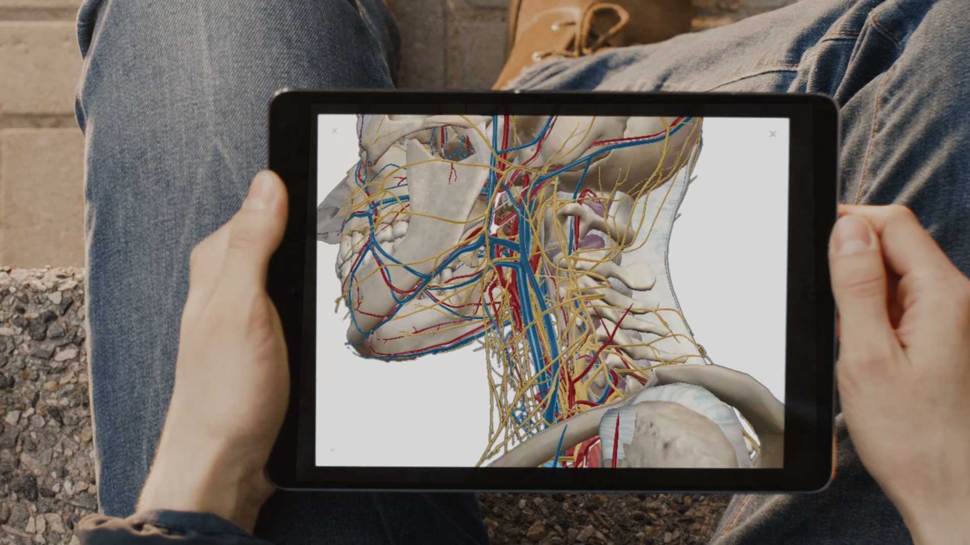 3d Muscle Premium 2 Ipa Downloader - crimsonhere