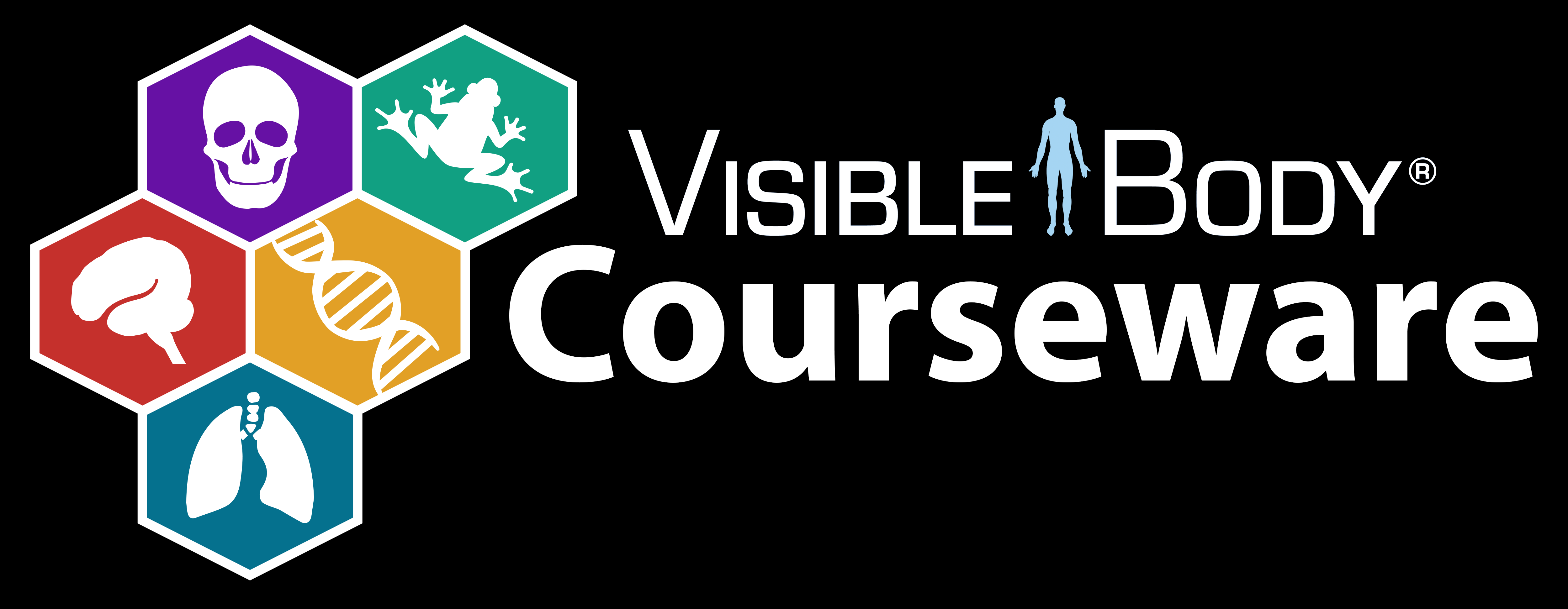 Logos and Brand Guidelines – Visible Body