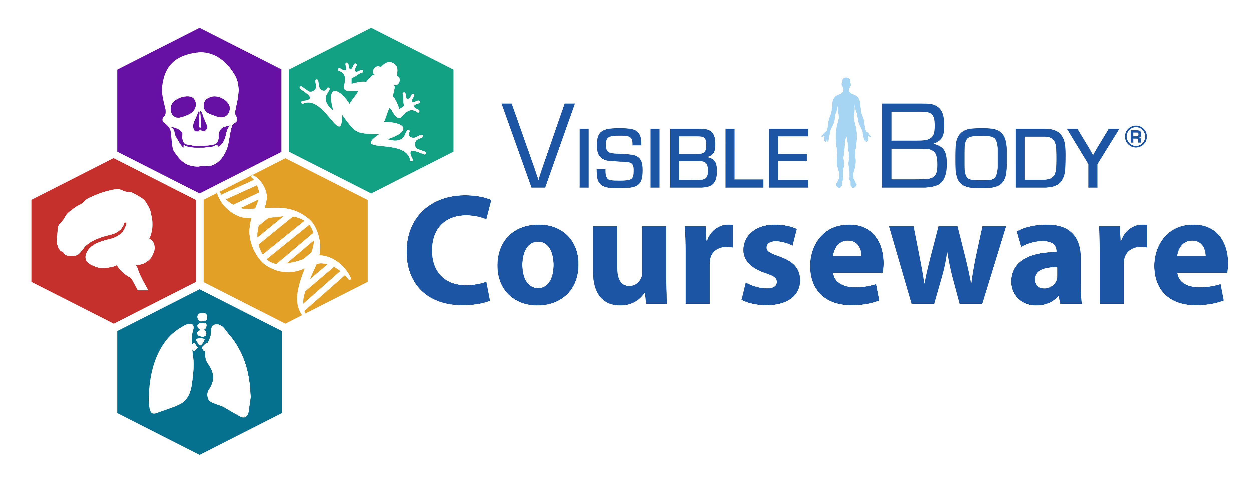 Logos and Brand Guidelines – Visible Body