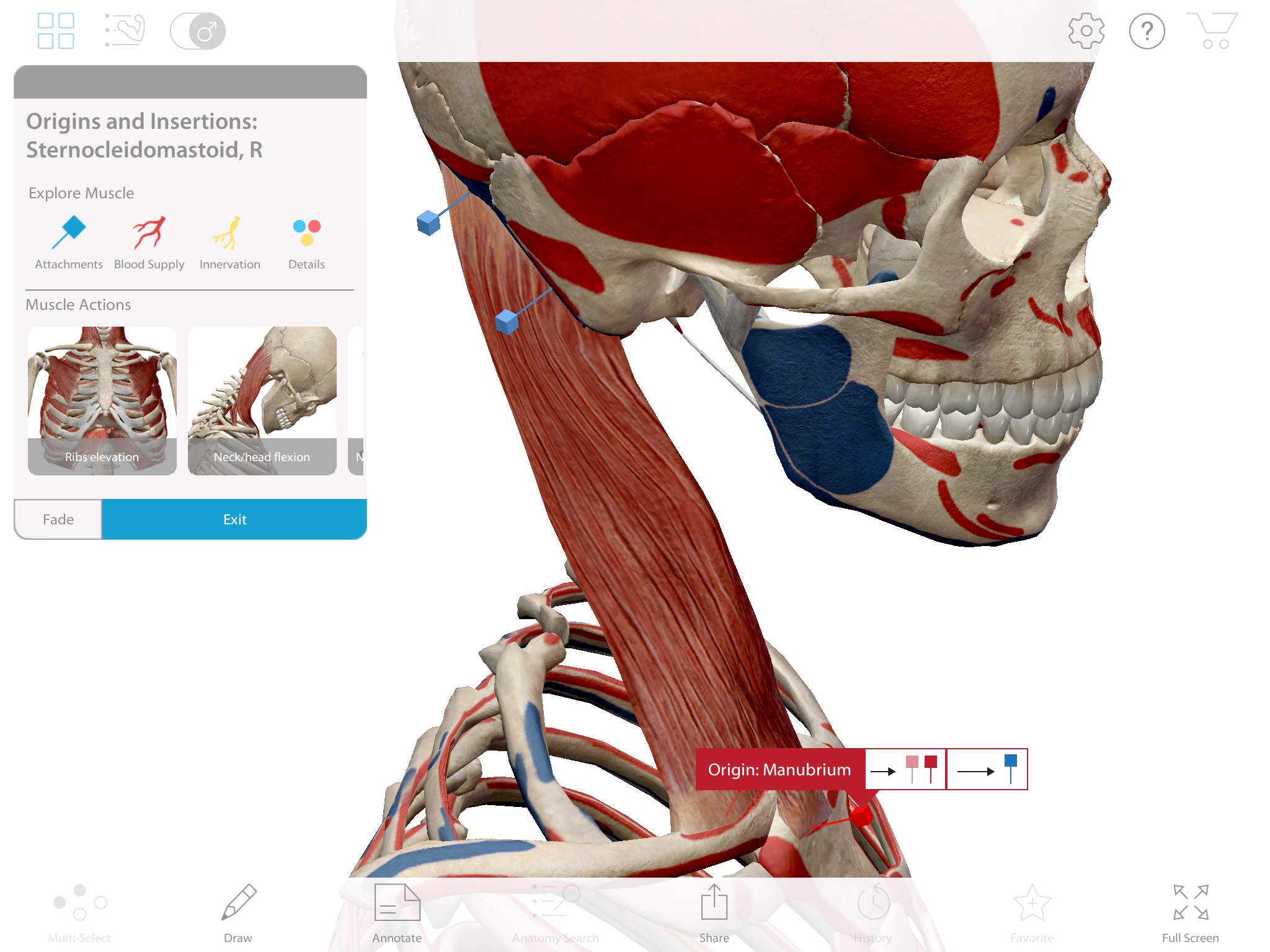 Visible Body Webcasts